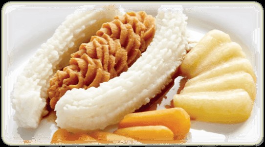 Puréed Food Moulds for Dysphagia: 5 Nutritious & Attractive Recipes